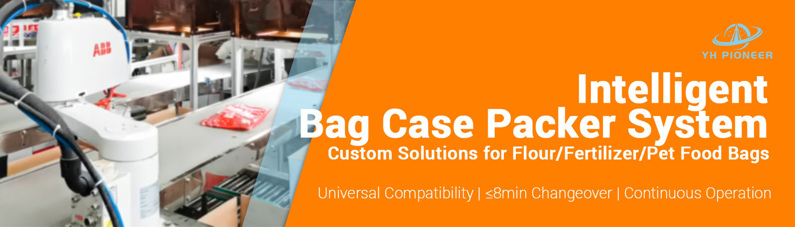 Quality Bag Carton Packer Machine & Bottle Case Packing Machine factory ...