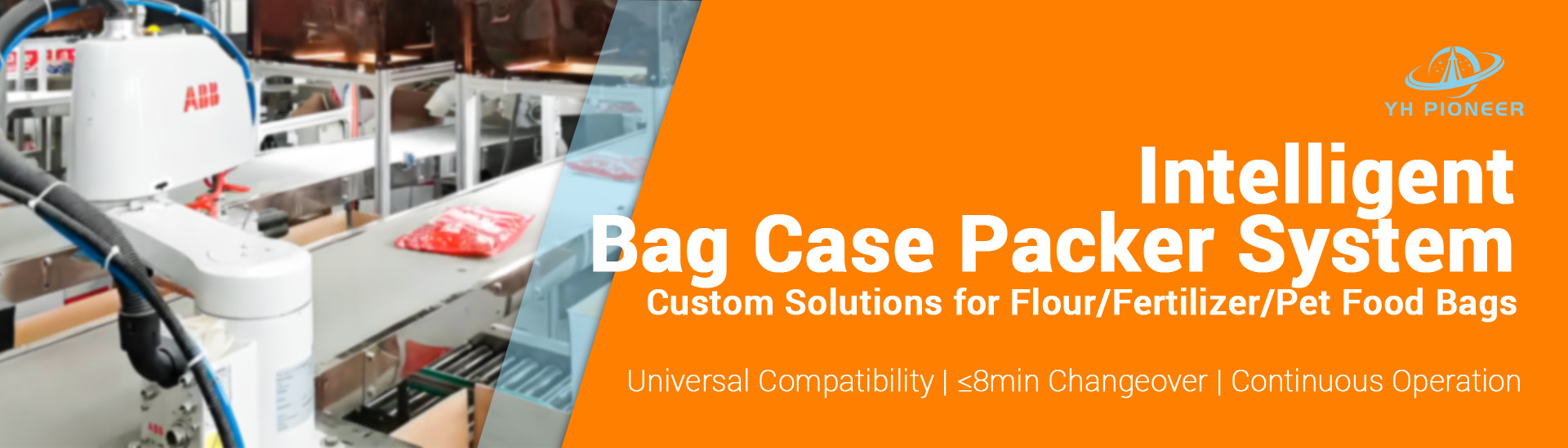 Quality Bag Carton Packer Machine & Bottle Case Packing Machine factory ...